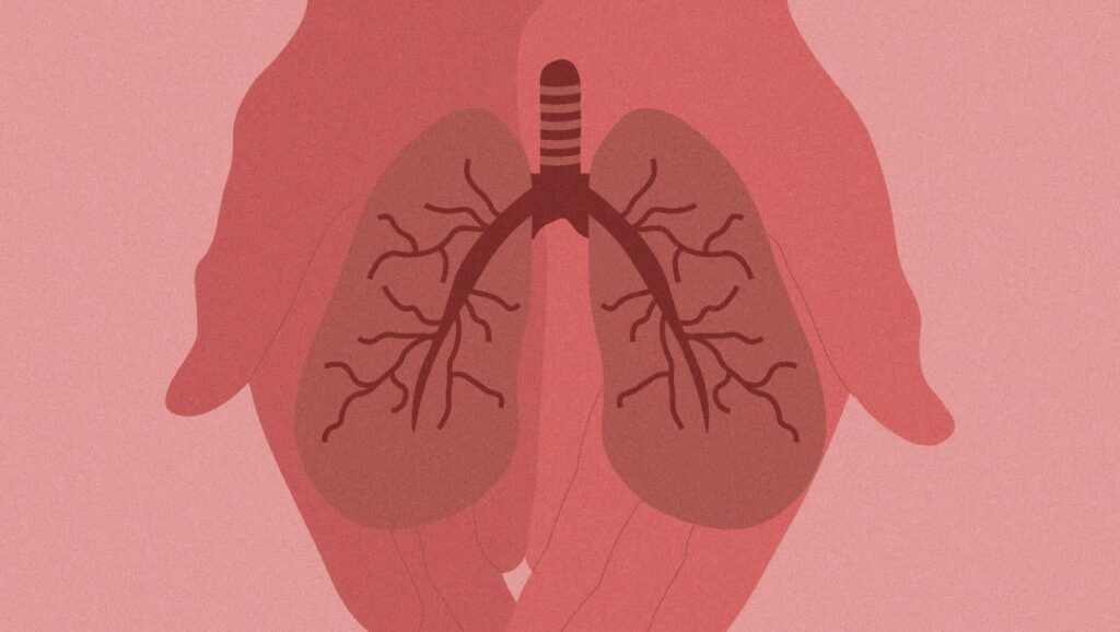 Concerns Rise Over Organ Donation Linked to Assisted Dying - TDGNEWS